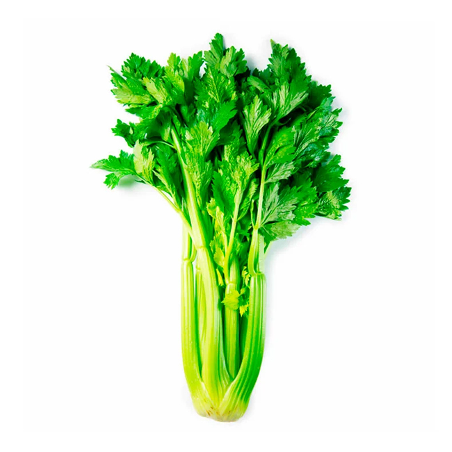 Apio - Huerta Boutique